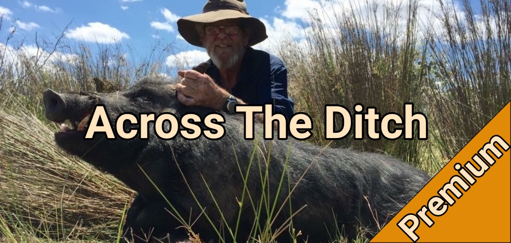 Home • Hooked on Boars