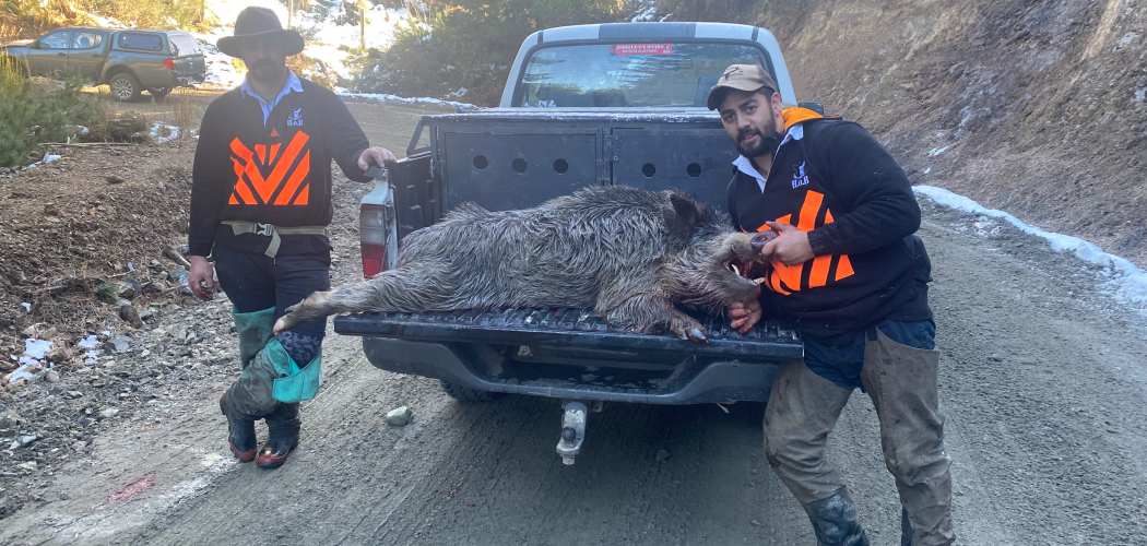 HOB Forestry Hunt Video - Trail Bark • Hooked on Boars